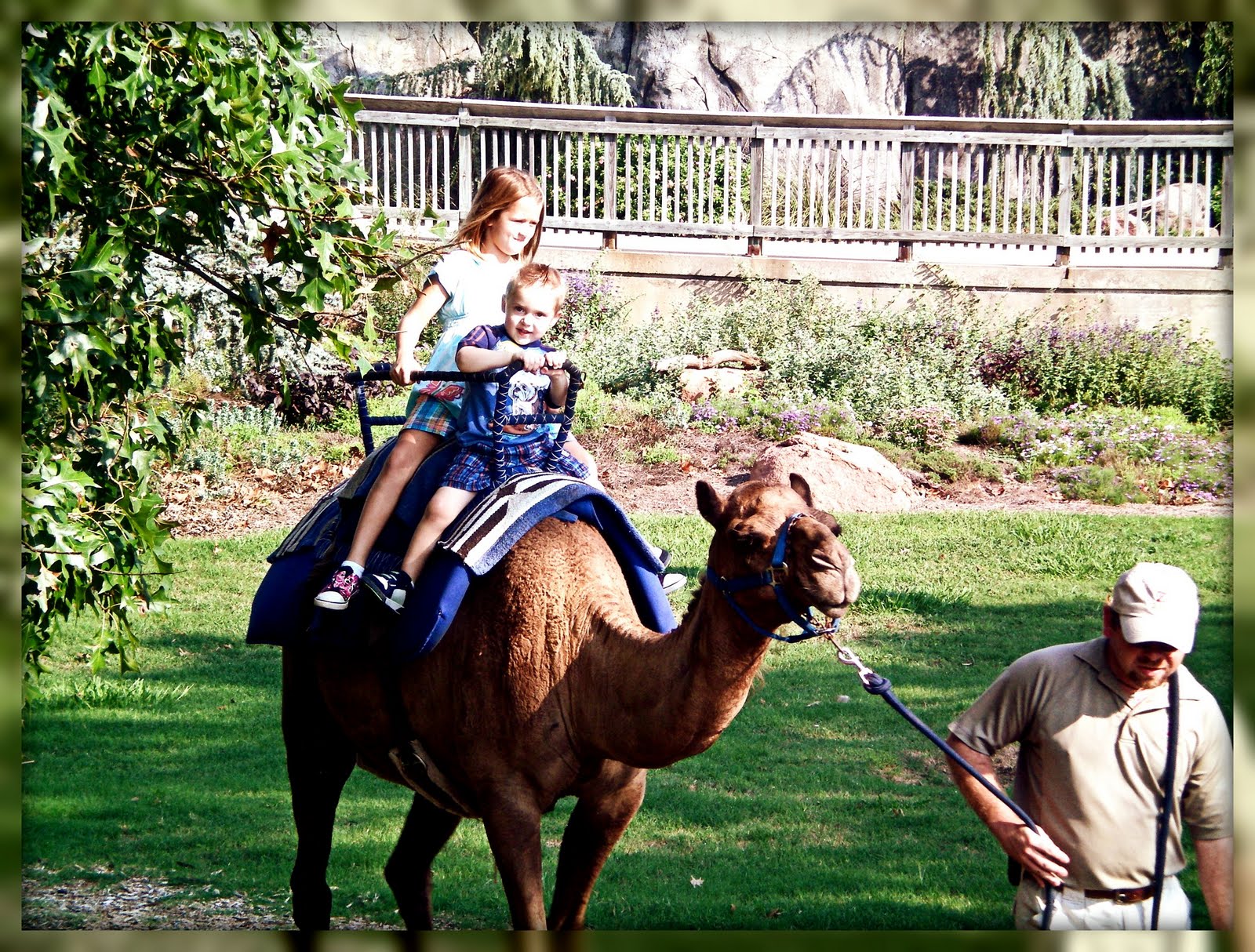 HESSHesshess: Tulsa Zoo Enrichment Day