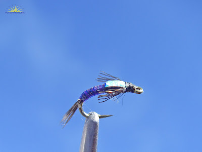 Fly Currents Fishing Report and News