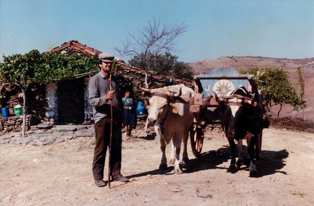 CILLEROS, NI MÁS NI MENOS: CON LA YUNTA