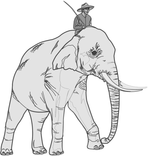 Catalign Innovation Consulting: Applying the Elephant-Rider model to a ...