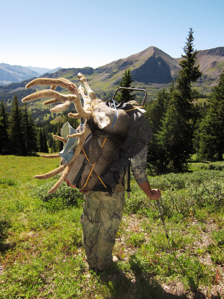 Jay Scott Outdoors: Randy Ulmer's Big Bucks and Bulls