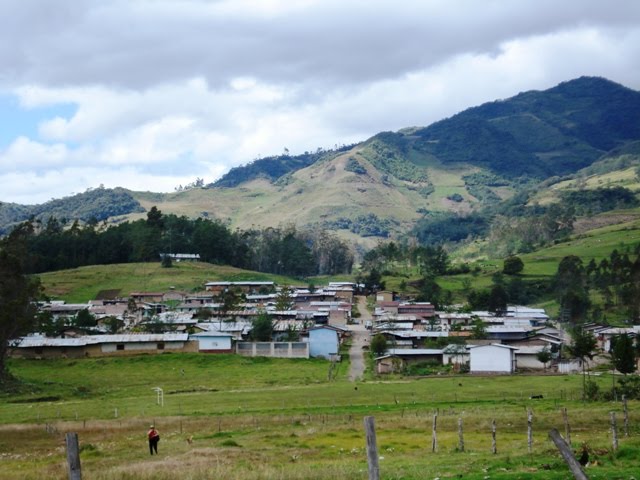 PORTAL TURISTICO DEL DISTRITO DE TONGOD