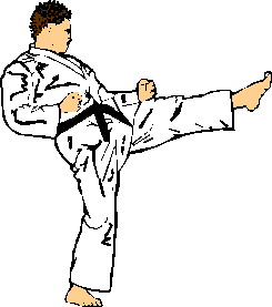 tecnicas de karate do: Introducción del karate y sus técnicas.
