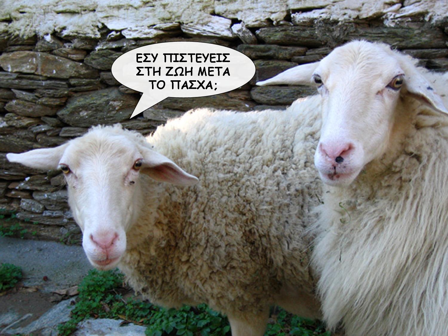 Ονειροπαρμένες Απάτητες Διαδρομές: Καλο Πασχα
