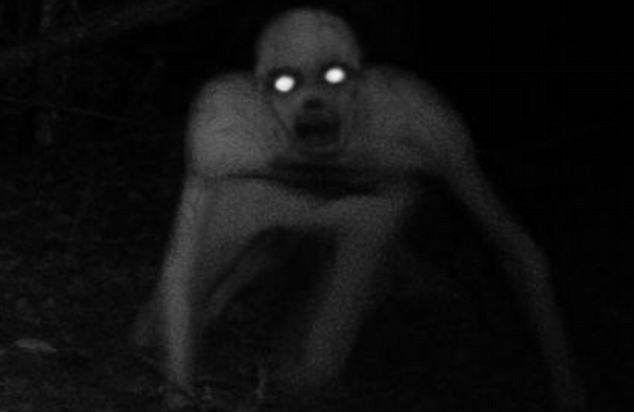 What IS that? 'Forest ghoul' caught on camera in dead of night by a ...