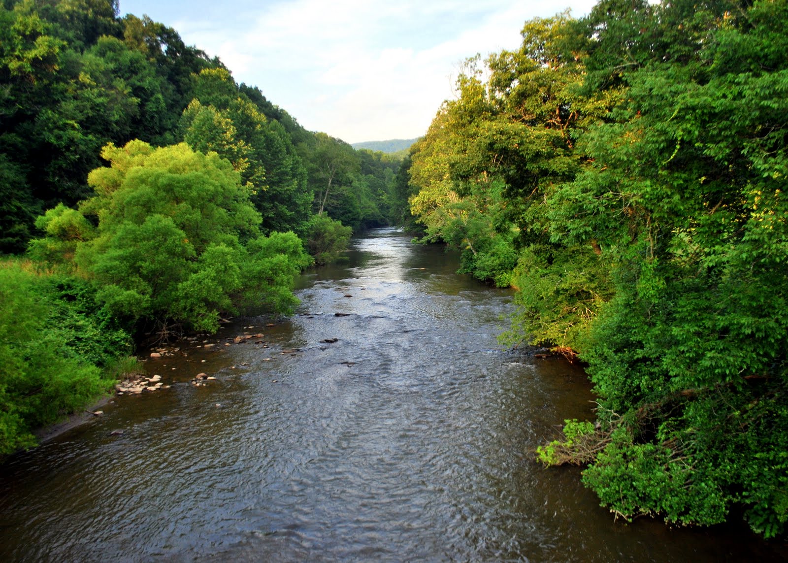 Carly Star's Photography: Naturals.