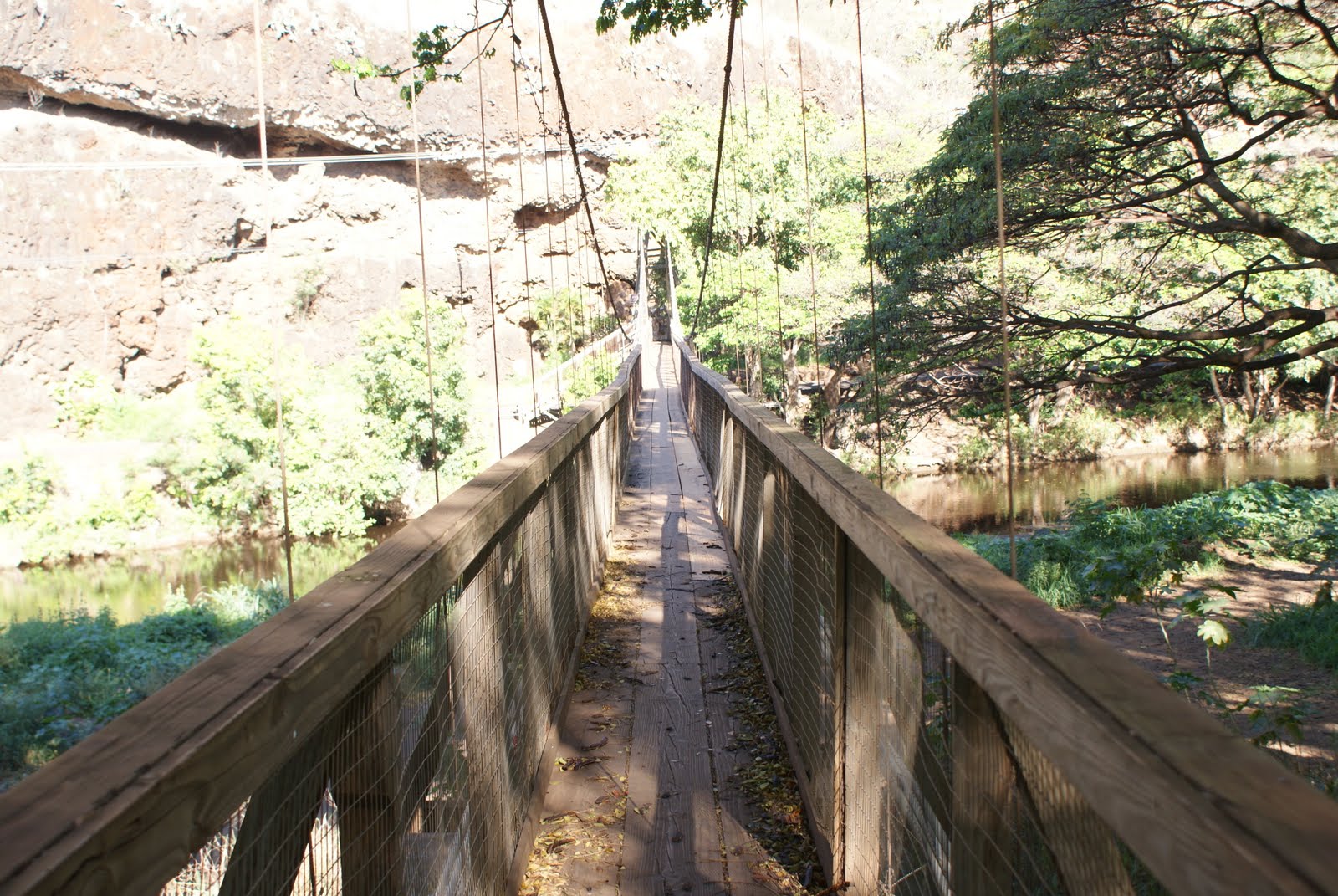 all because two people fell in love: Waimea Swinging Bridge in Kauai