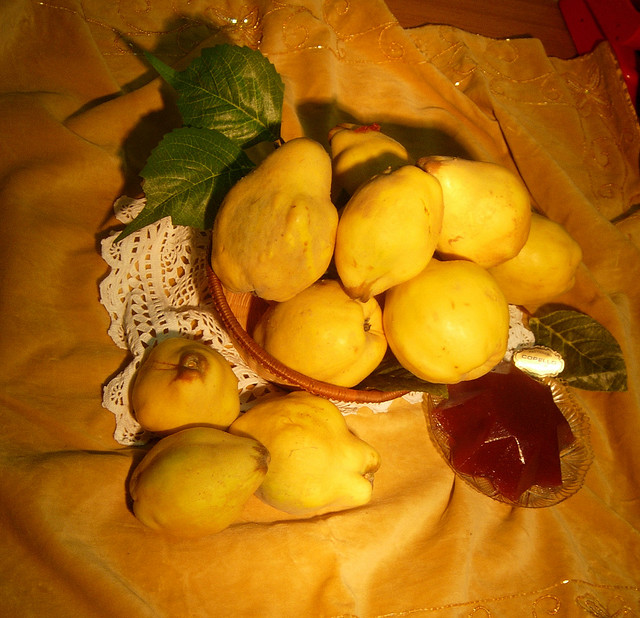 Collection 105+ Pictures What Is Membrillo Fruit In English Superb