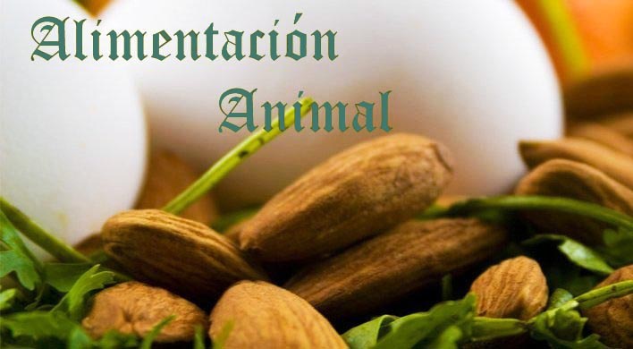 Alimentación animal: ¿Qué es la nutrición animal?