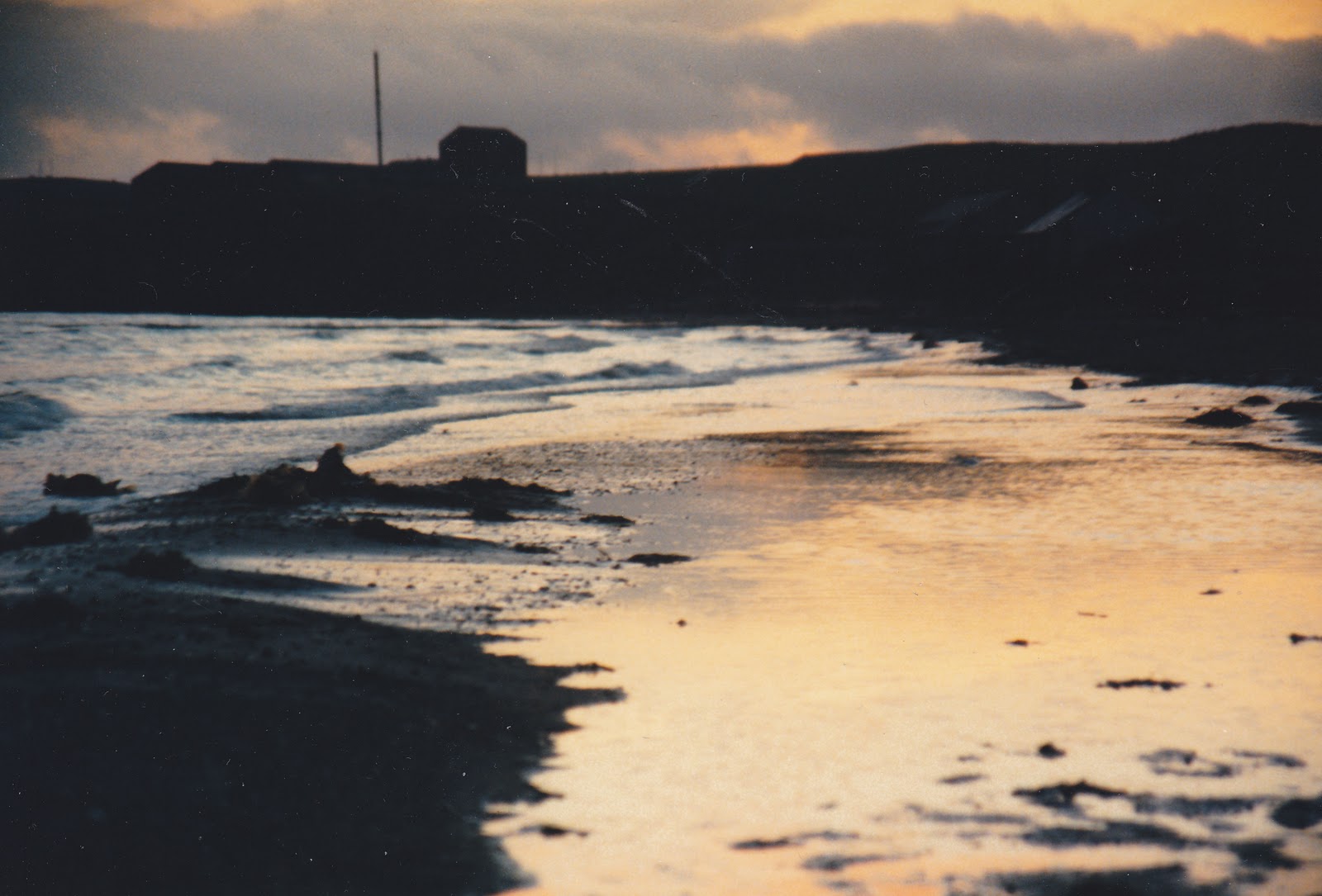 The Camel Saloon Gallery : Scapa