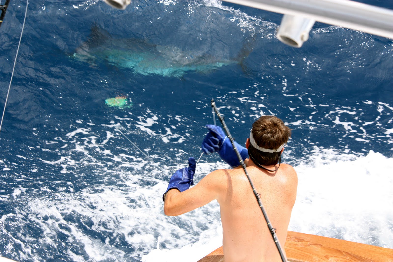 The Outer Banks Fishing Report: Big Rock Blue Marlin Tournament