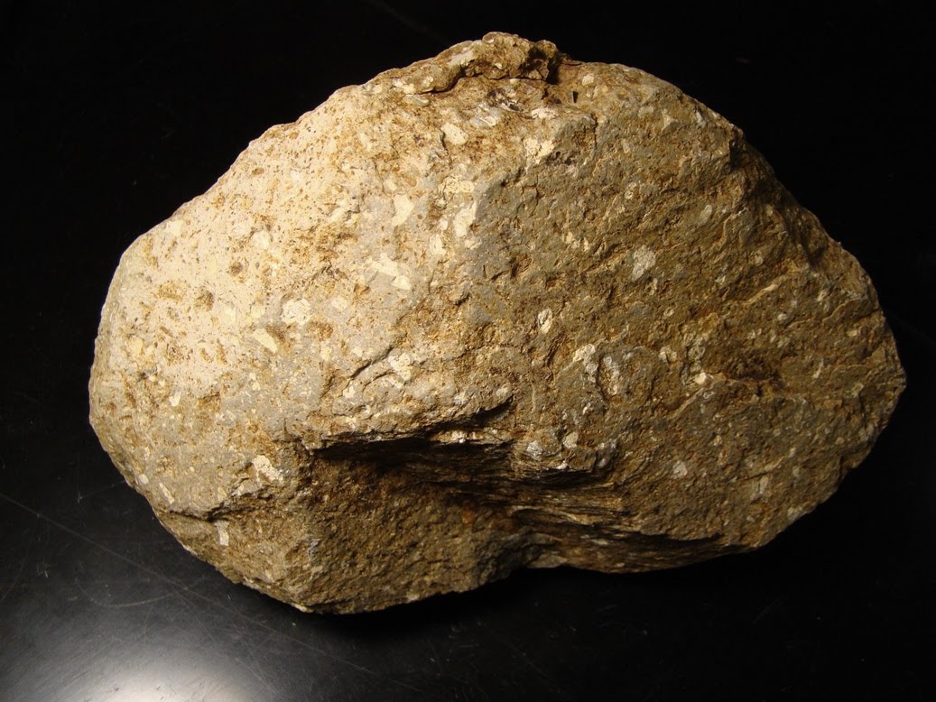 Geotripper: What Story Can a Single Rock Tell? A Day in the Coast Ranges