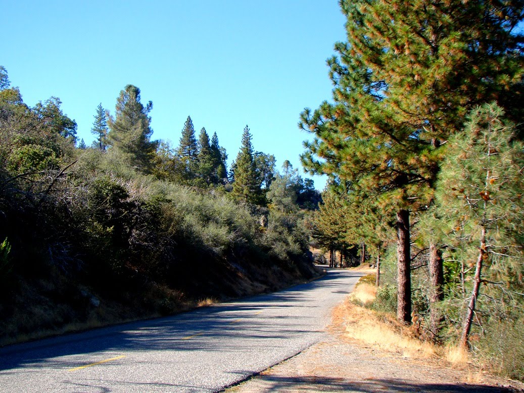 Valley Crest Landscaping Maintenance | How To Grade Landscape