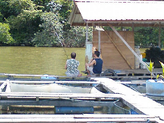 Utik Anglers: Fish Outing December