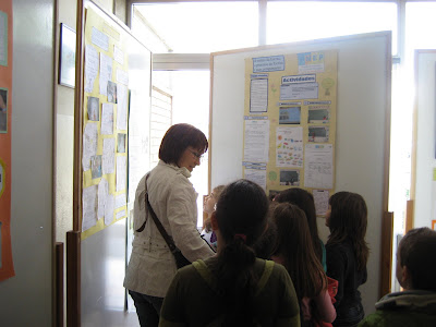 O PNEP nas escolas do 1º Ciclo - Prado