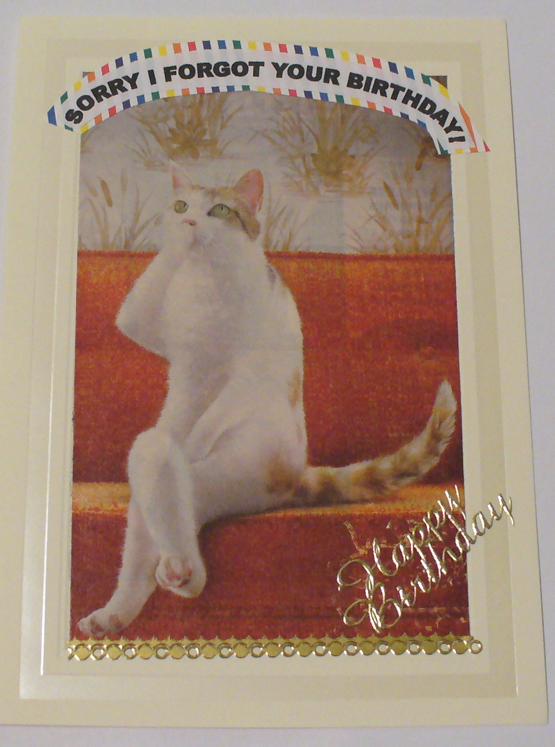 kards by kathi: Forgot Your Birthday Card