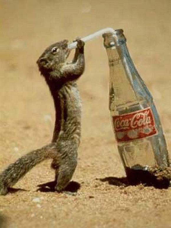 Funny Coca-Cola ~ JOKES BLOG