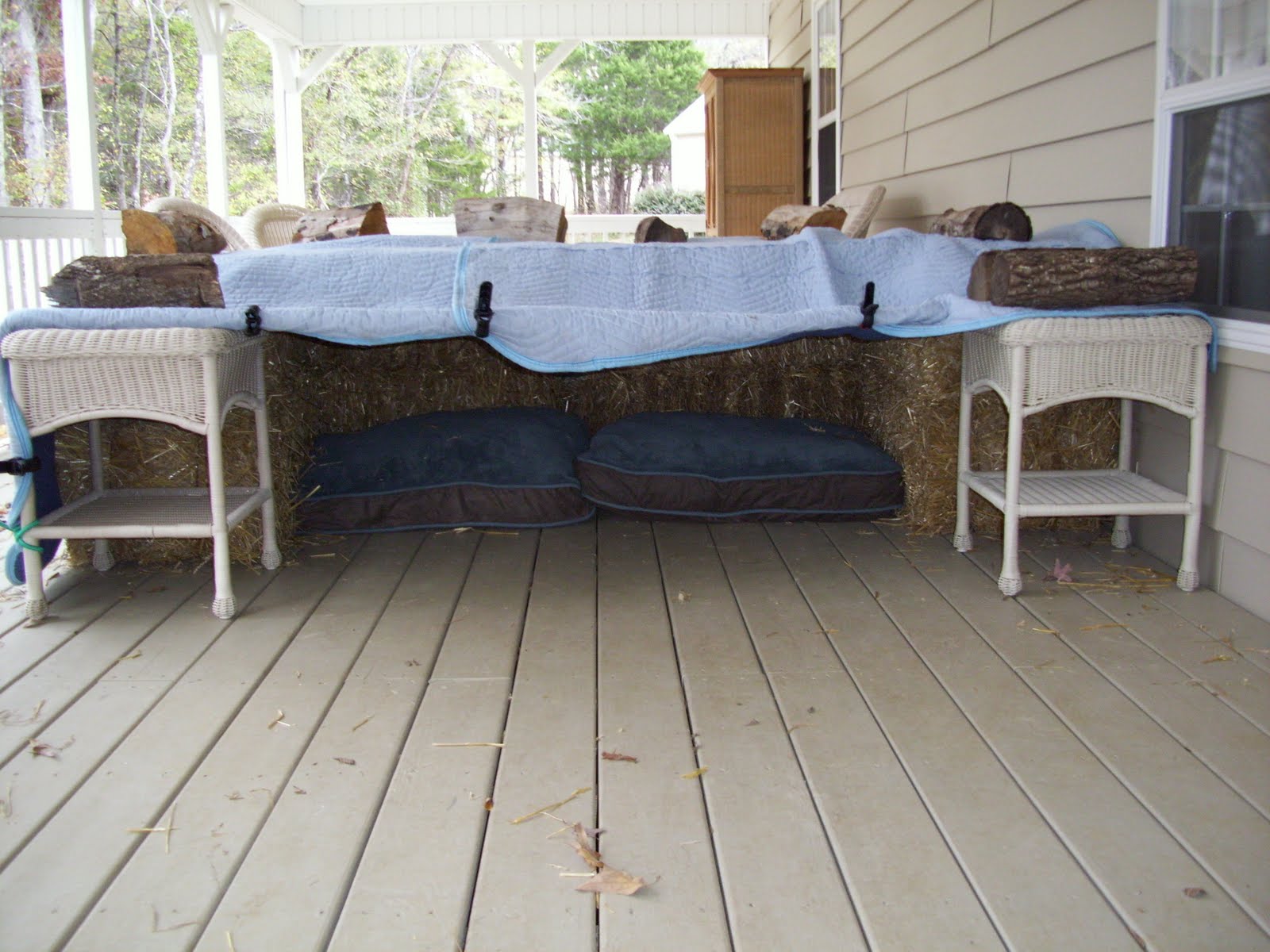 Colors Outside The Lines: Redneck dog house