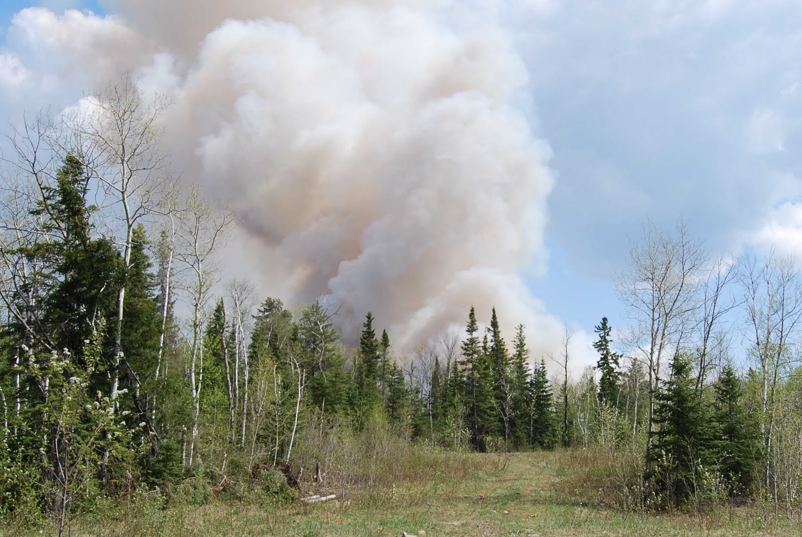 Timmins Times - News From Your Neighborhood: More photos of forest fire ...