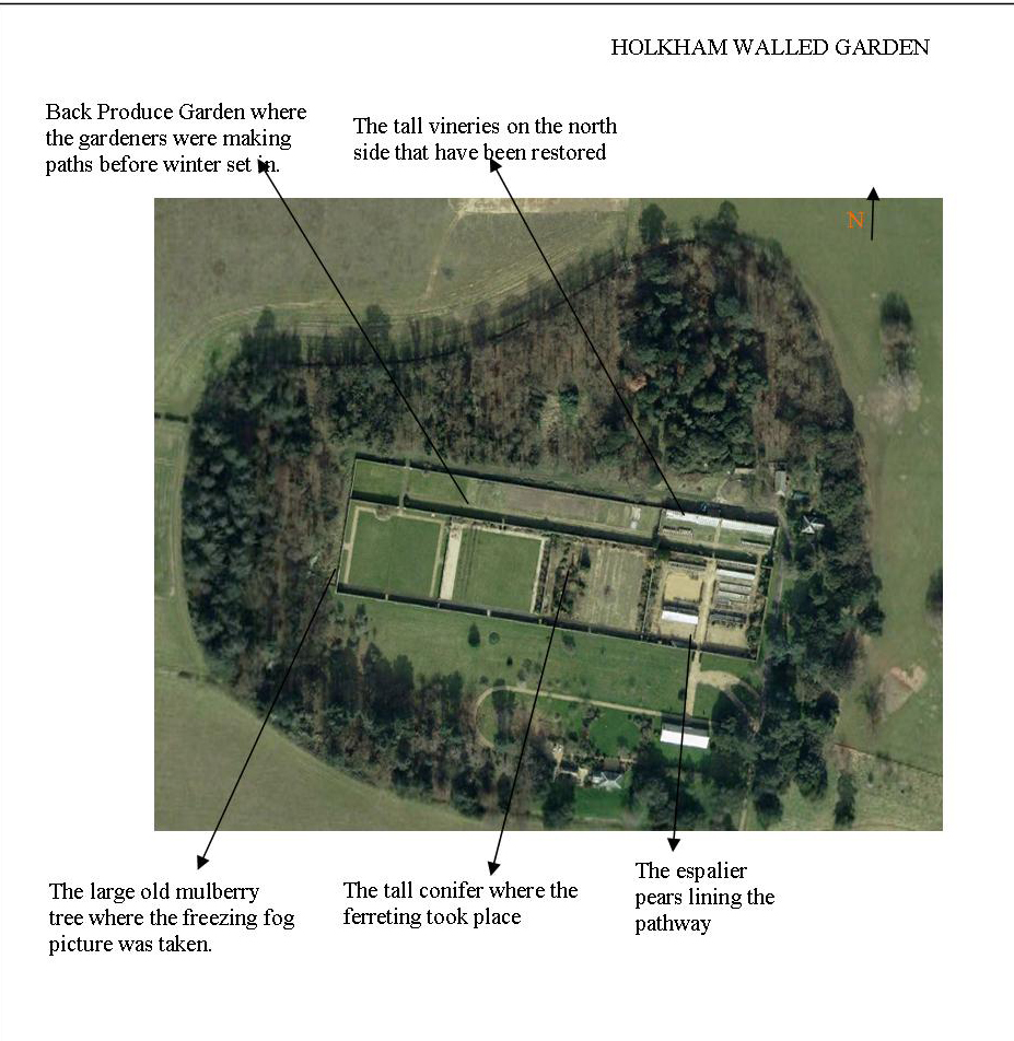 Holkham Walled Garden: Aerial View of the Garden