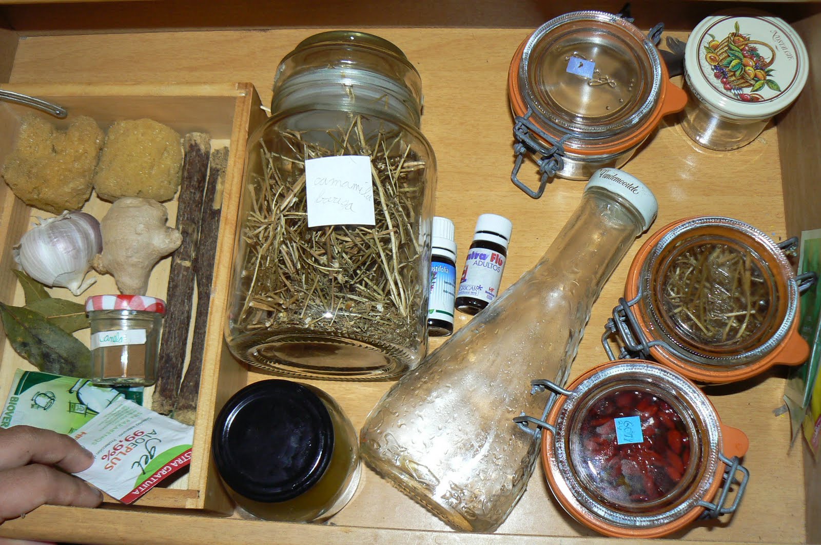 Orca: observar, recordar, crecer y aprender: Chamán: plantas medicinales