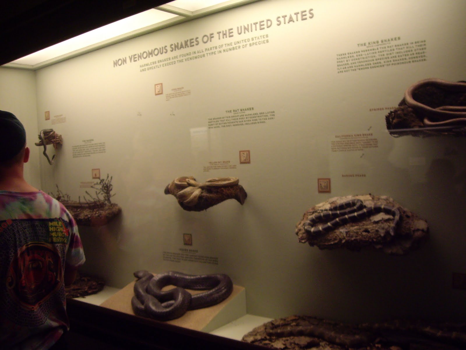 Three Musketeers: Zachary, Wyatt, & Yannick: Getting Our Culture On ...