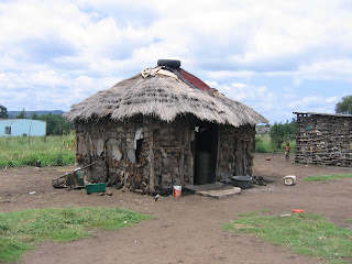 David in Swaziland: Swazi Houses
