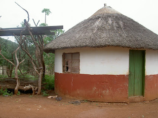 David in Swaziland: Swazi Houses