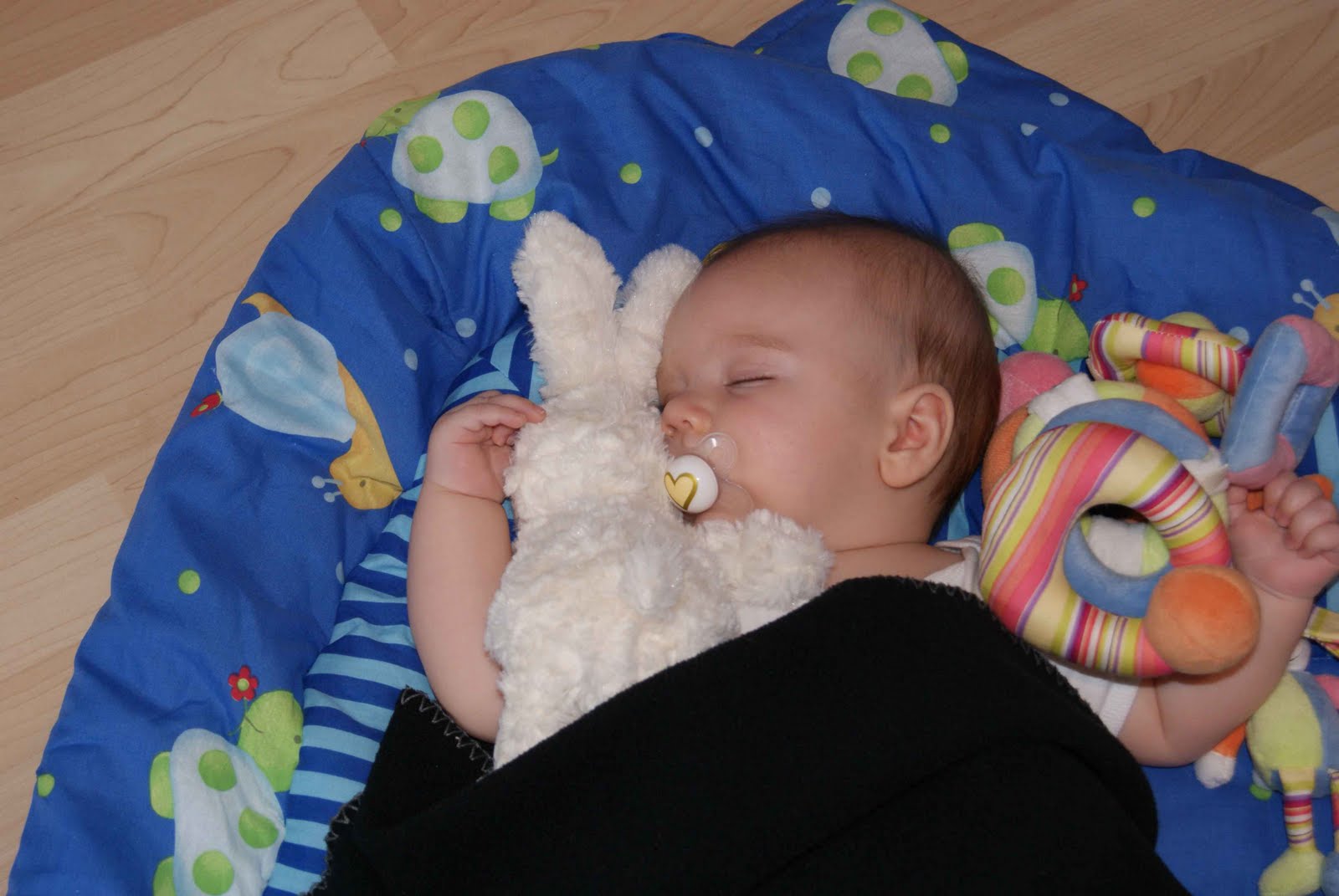 die brunsis unterwegs: Simon mit seinen Hasen.