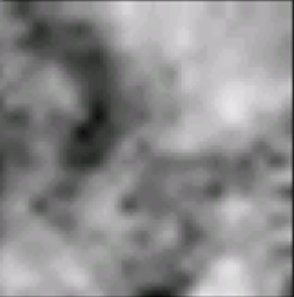 Caer Alyn Archaeological and Heritage Project Summer Dig 2010