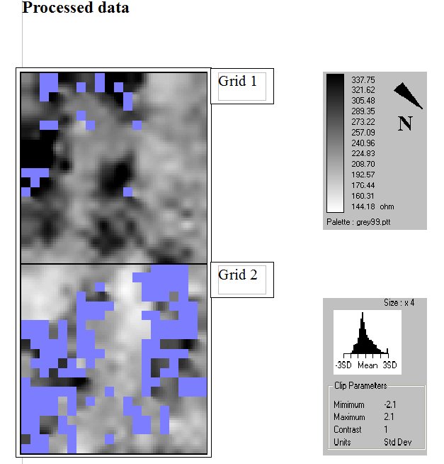 Caer Alyn Archaeological and Heritage Project Summer Dig 2010