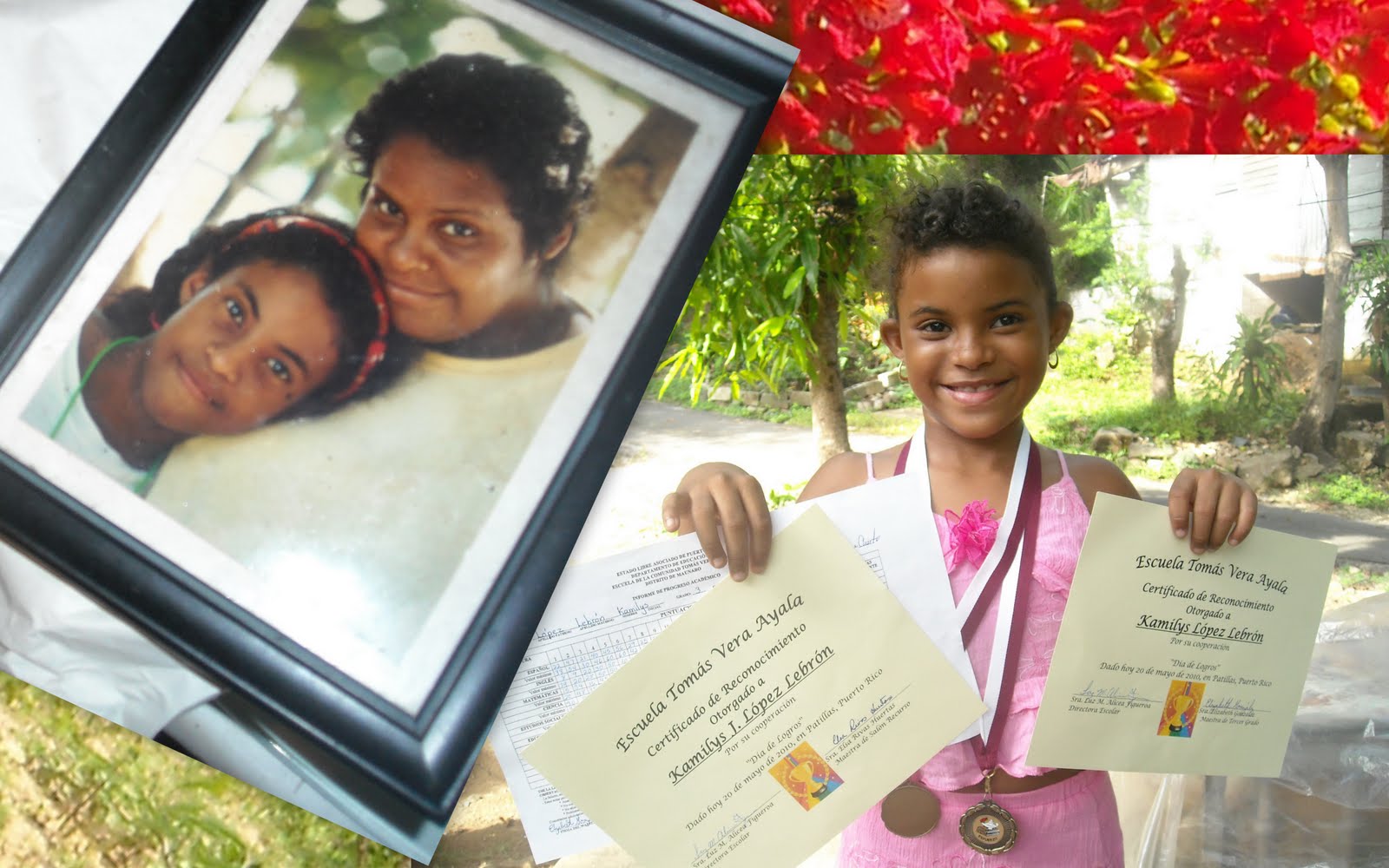 Laboy Rodriguez Roots: Madeline Rodriguez Alvarez