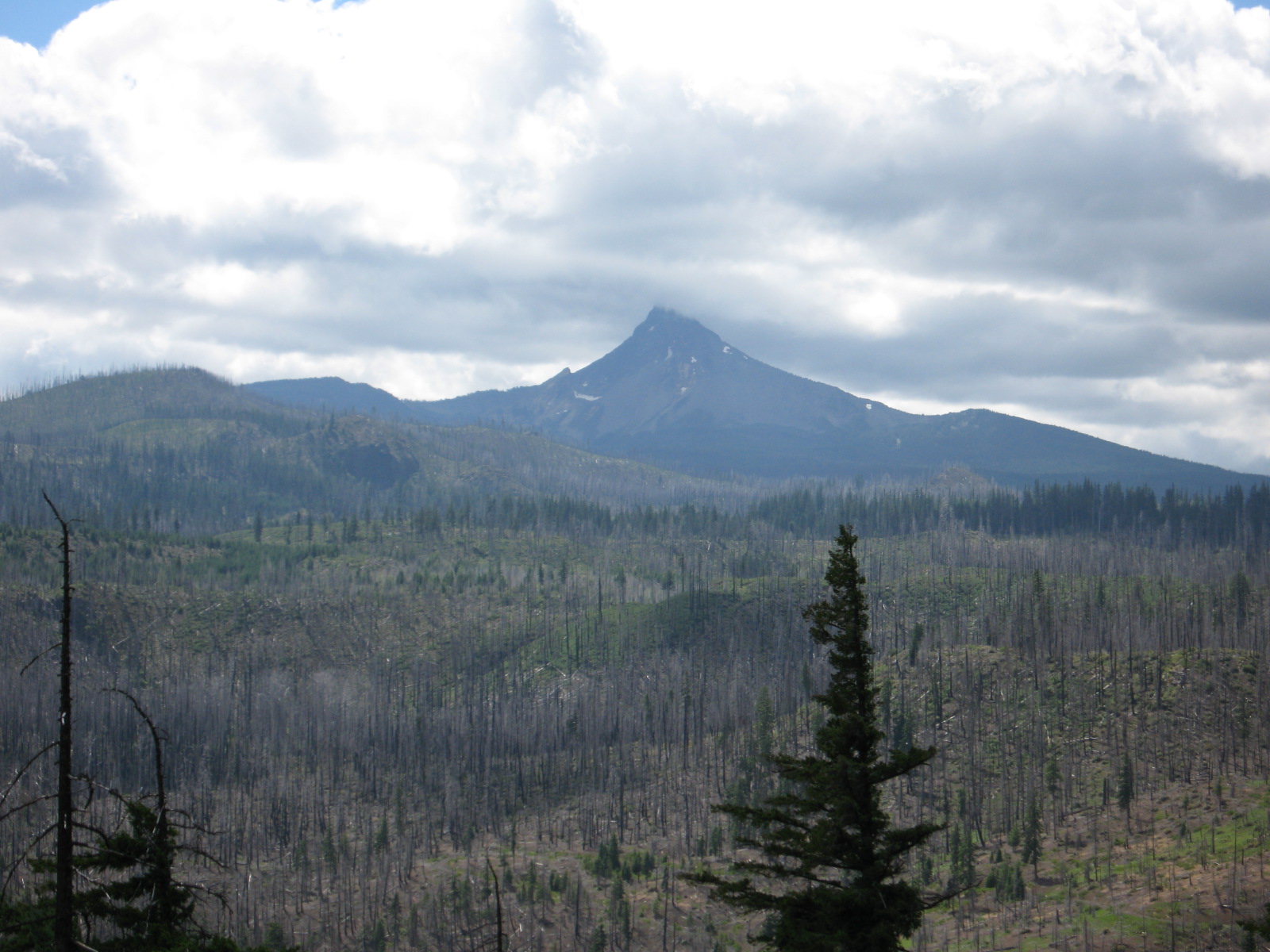 WEBB'S JOURNAL: DEXTER OREGON