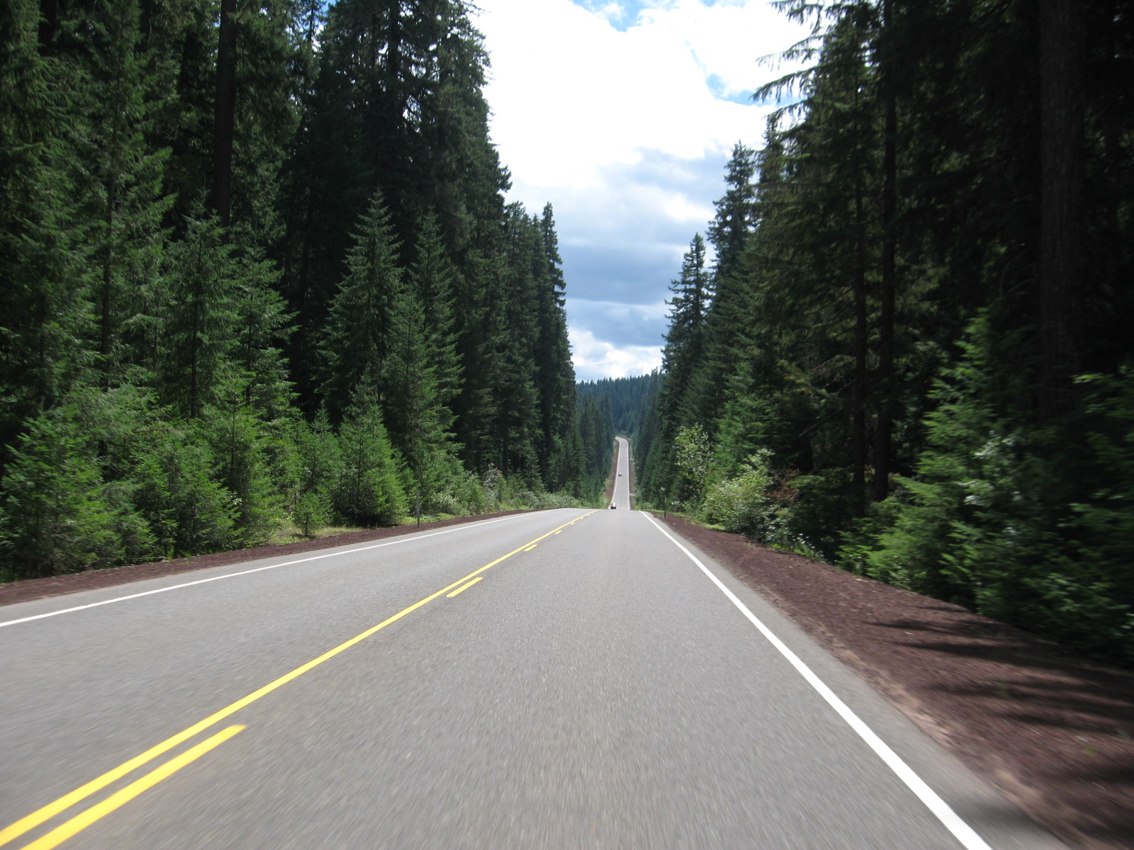 WEBB'S JOURNAL: DEXTER OREGON