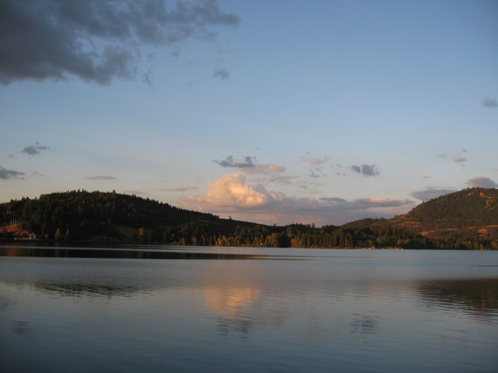 WEBB'S JOURNAL: DEXTER OREGON