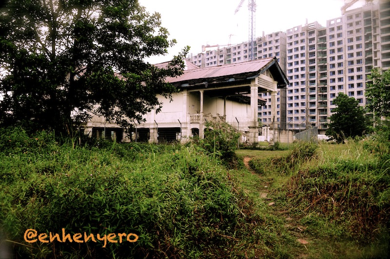 braggies: Matilda House