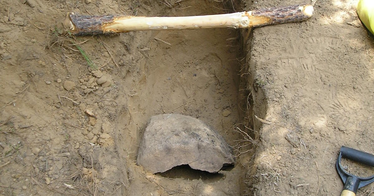 EL USO CORRECTO DE UNA LETRINA