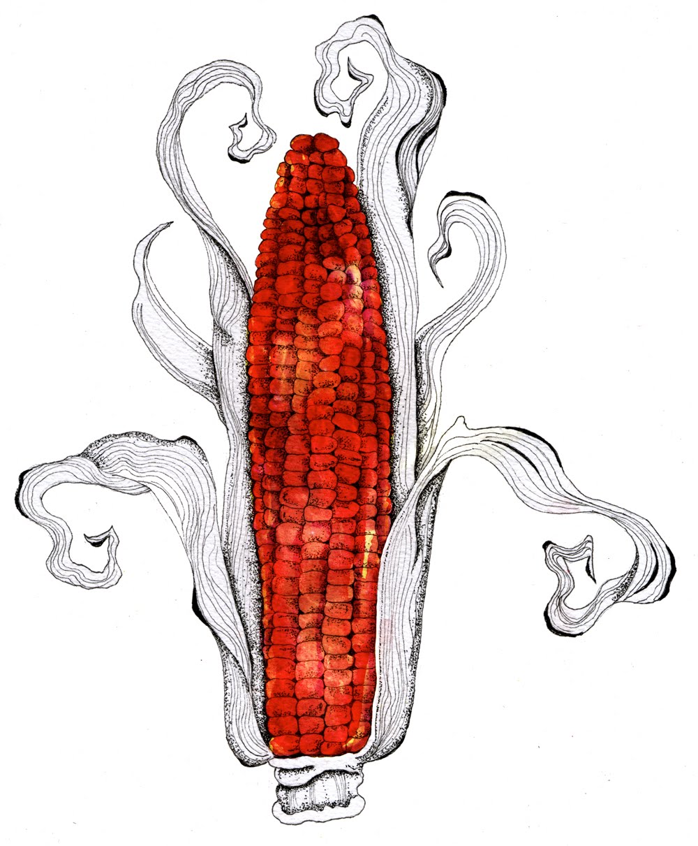 Edible Raven: Superstition of the Week - Corn