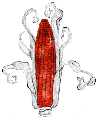 Edible Raven: Superstition of the Week - Corn