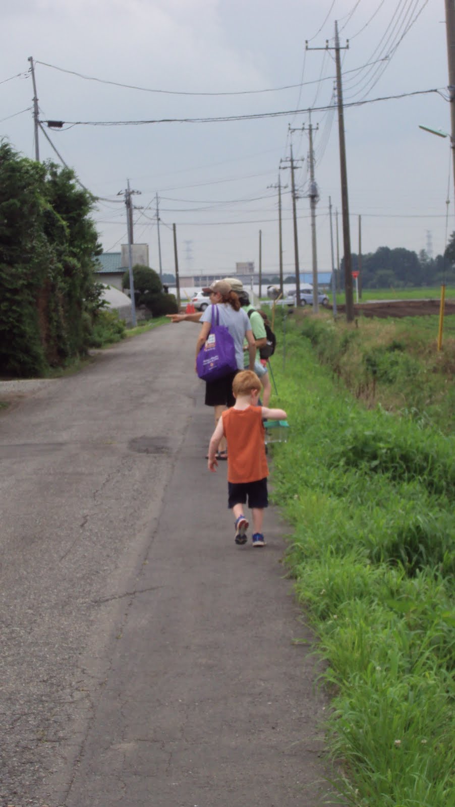 Parkers in Japan: Summer Festival / Rice Field Bug Catching