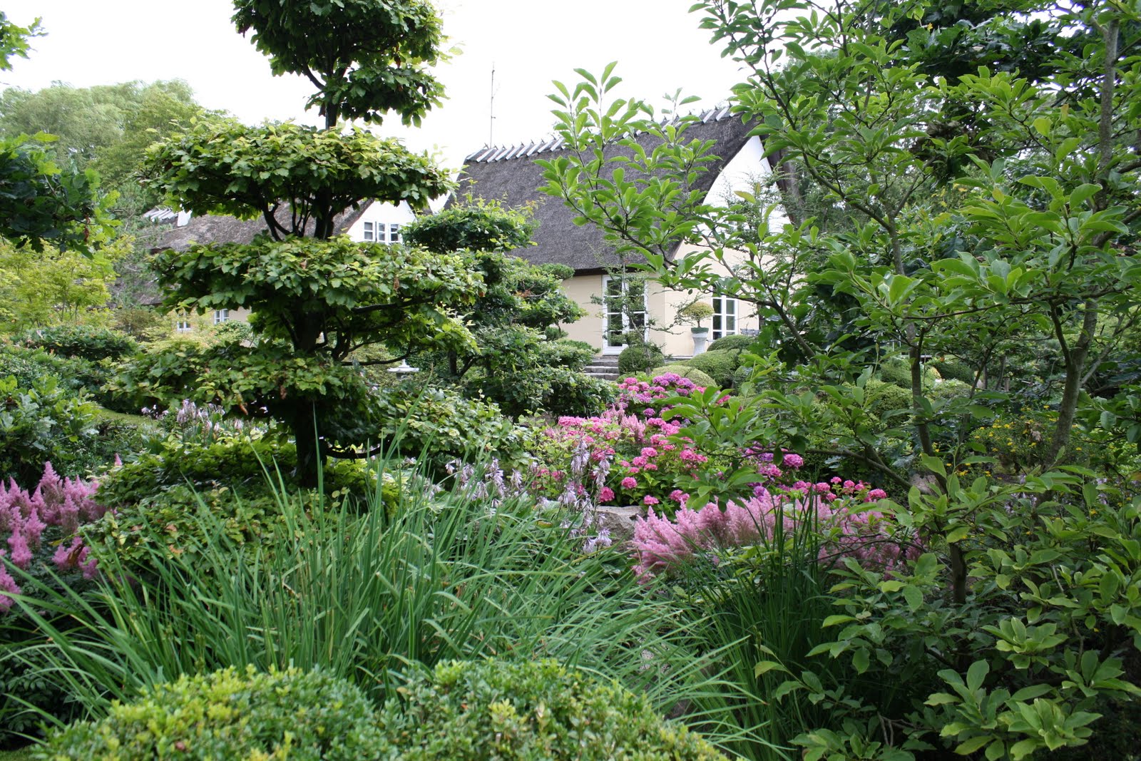 wenches hage og hobby: Japansk hage.