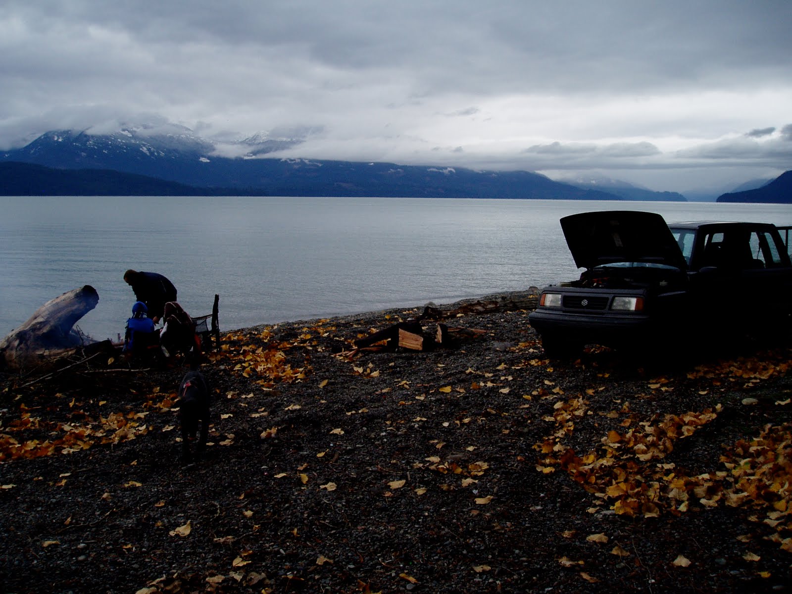 Wild West Diaries: Cogburn Beach - East Harrison Lake