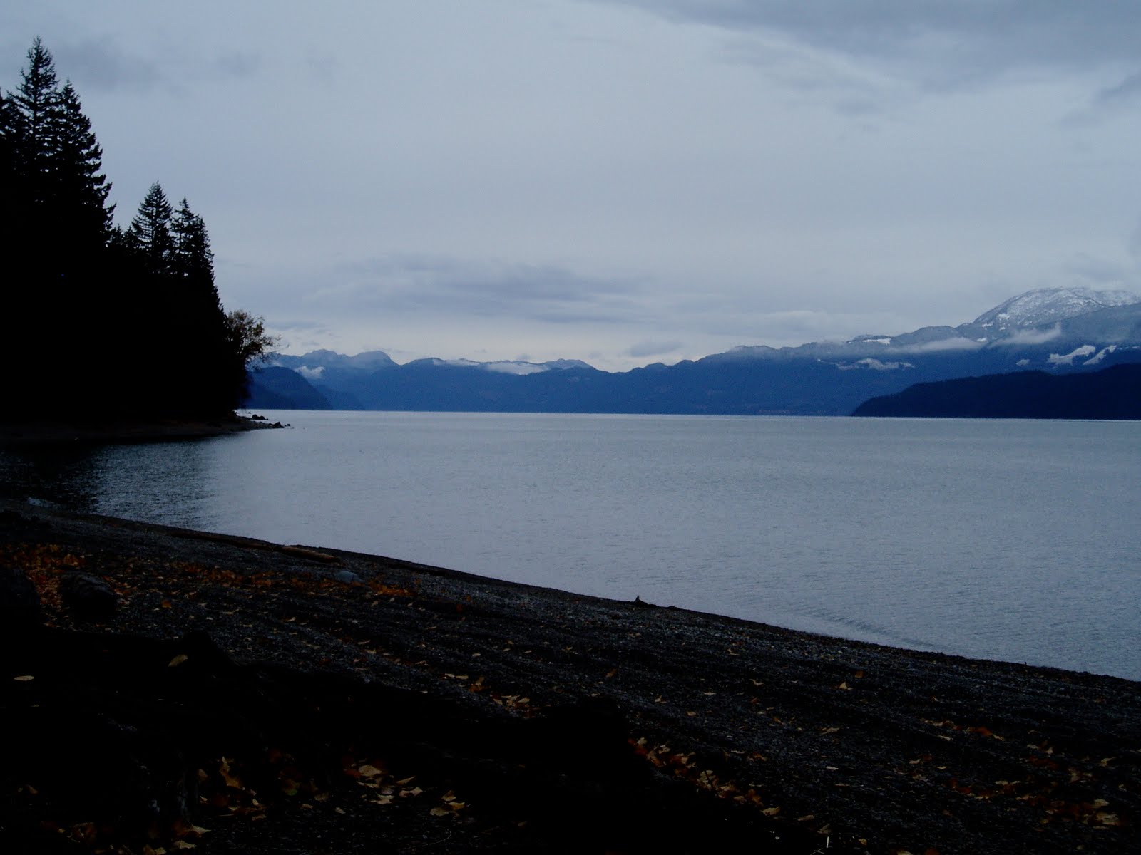 Wild West Diaries: Cogburn Beach - East Harrison Lake