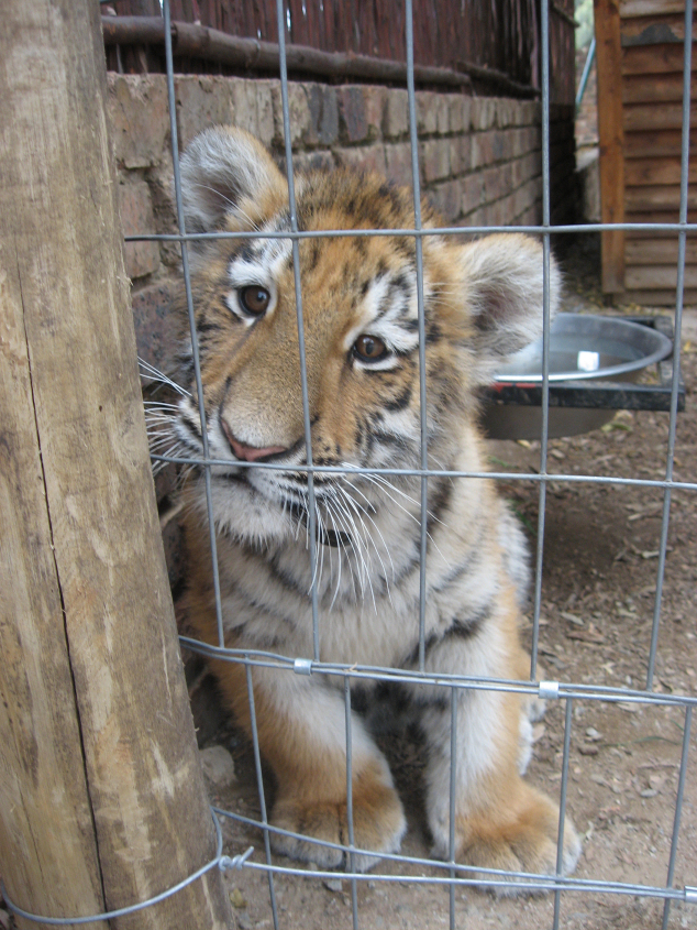 Plebs with Kids: Lory Park Zoo, Midrand (JHB)