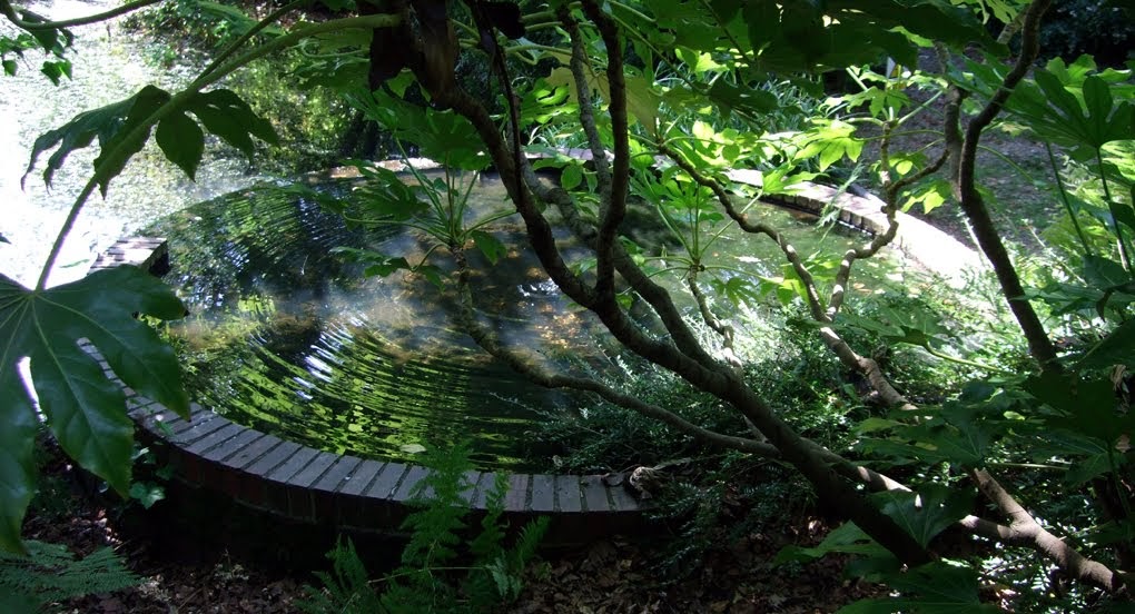 A bad witch's blog: The sacred spring at St Blaise's Well