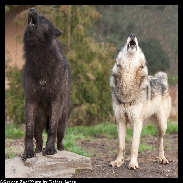 GET A LIFE NOW: WORKING TOGETHER WE CAN ACHIEVE MORE.