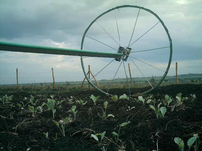 rainmakerirrigationmachine: Rainmaker irrigation machine -mobile 0722580331