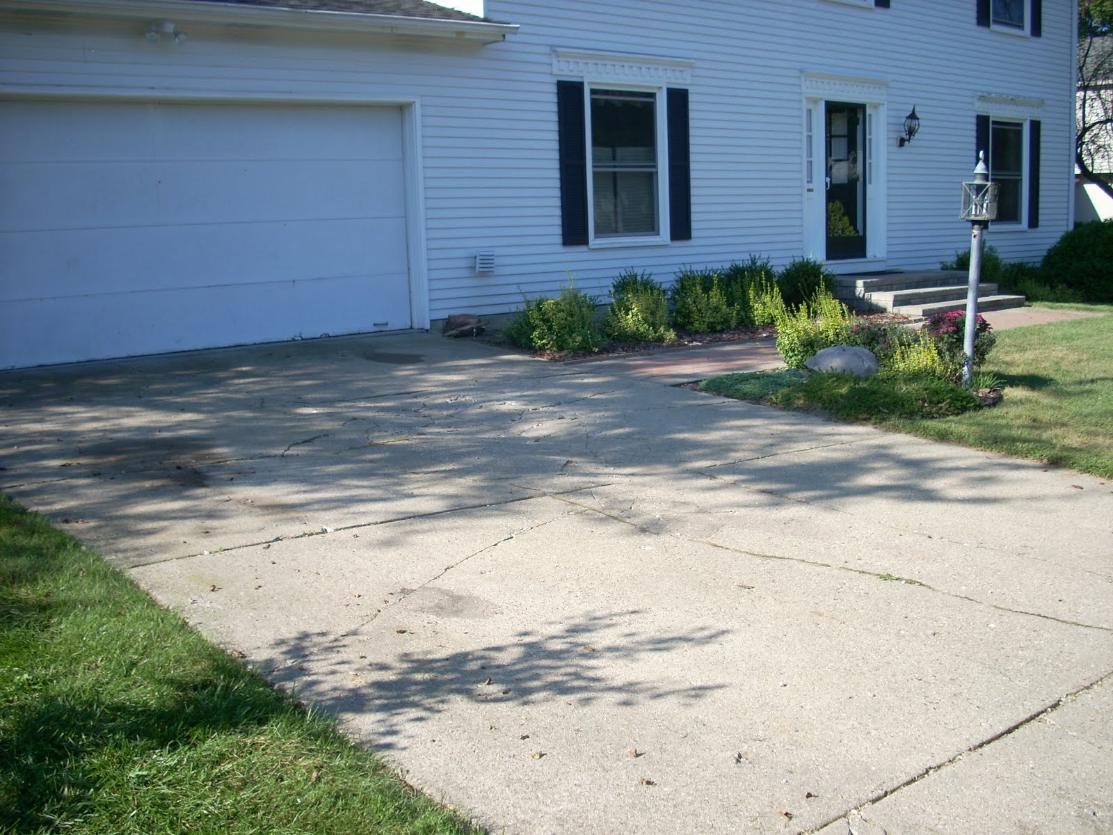Car Free in Ann Arbor: August 2010