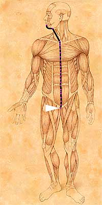 The Eden Project: The Eight Week Meridian Challenge: Two Tips for ...