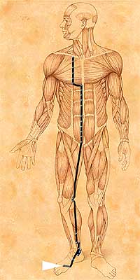 The Eden Project: The Eight Week Meridian Challenge: Two Tips for ...